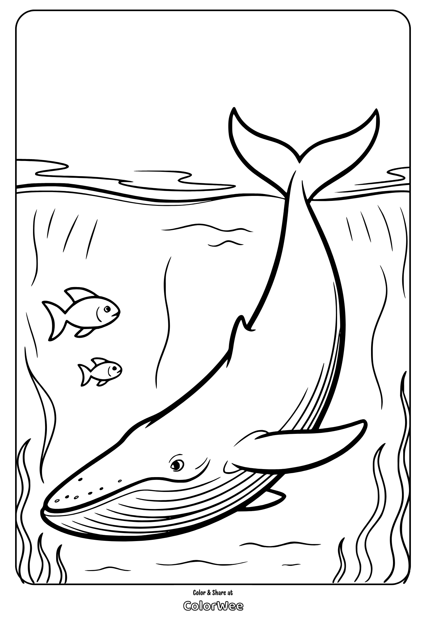 Whale Coloring Pages For Adults and Kids