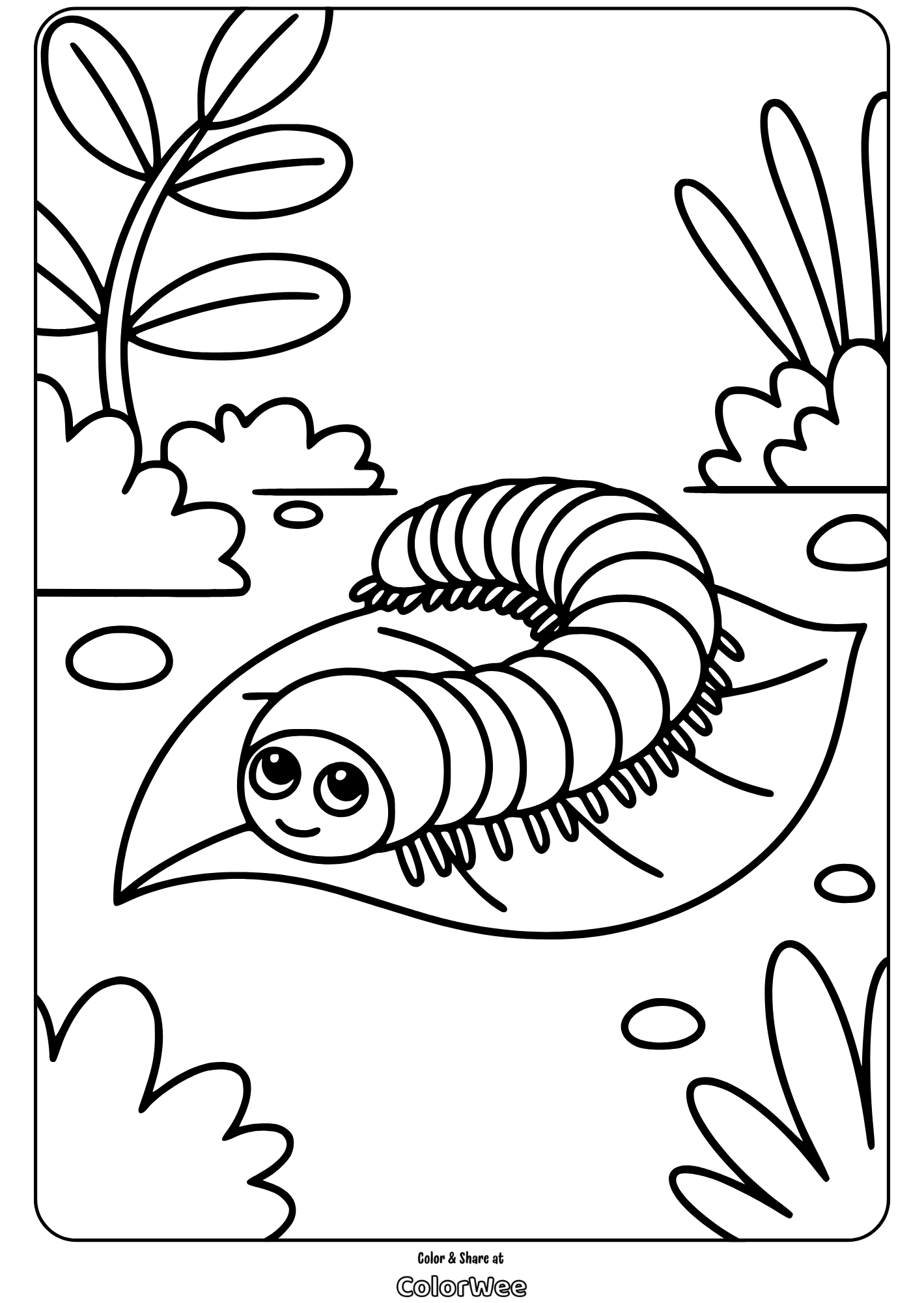 25 Insect Coloring Pages (Free to Print and Download)