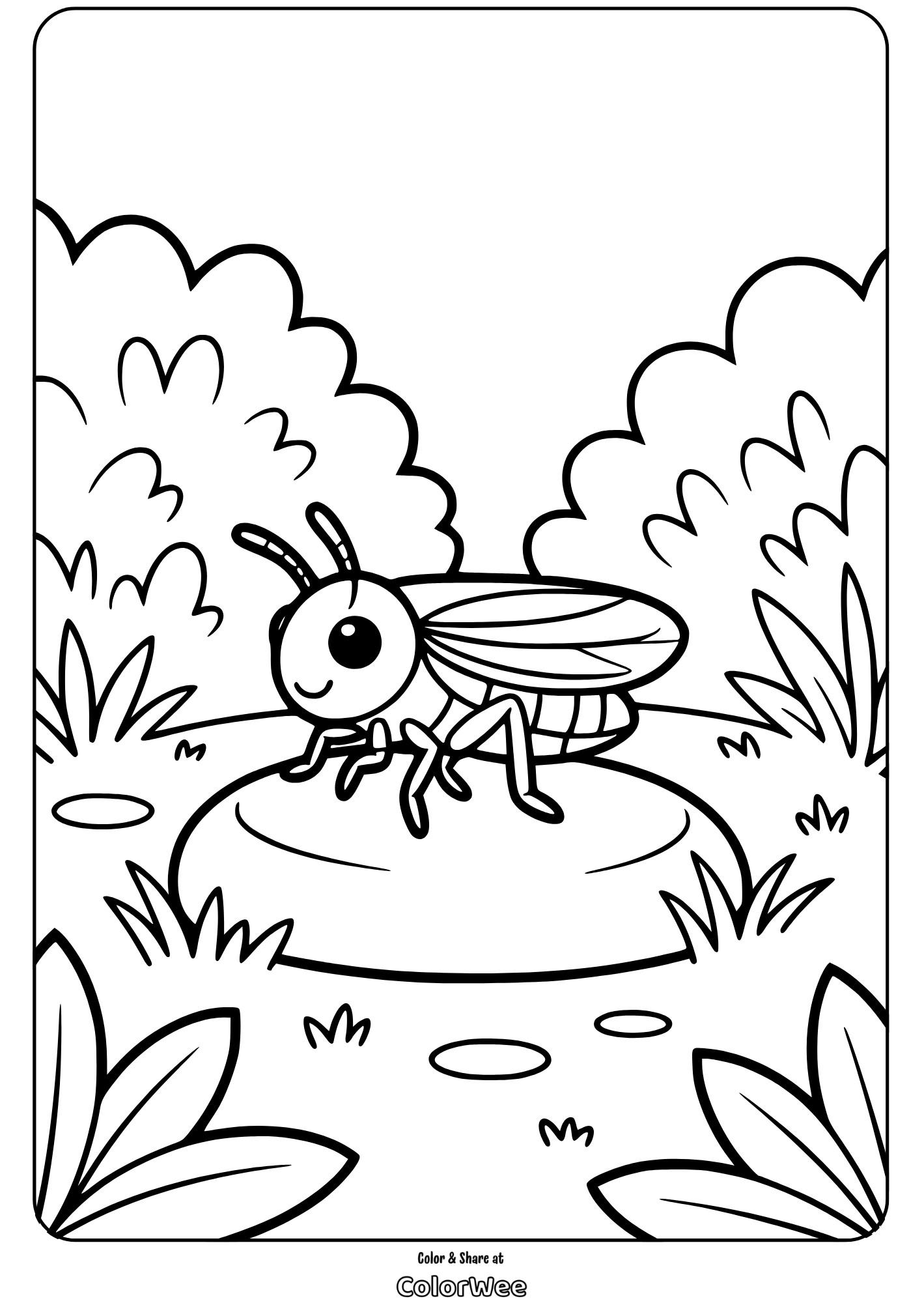 25 Insect Coloring Pages (Free to Print and Download)