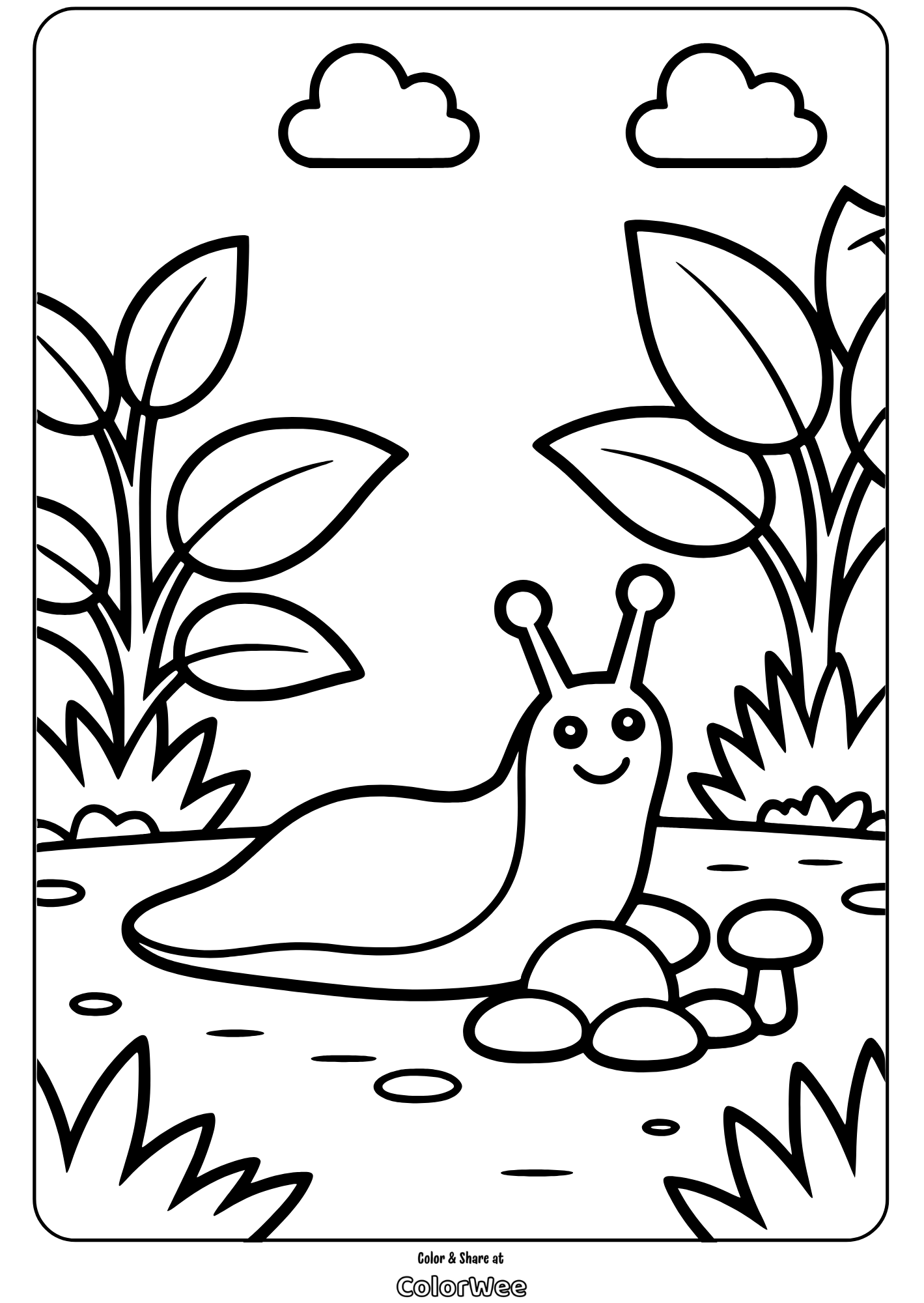 25 Insect Coloring Pages (Free to Print and Download)
