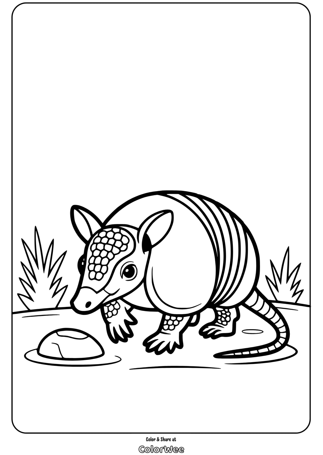 25 Realistic Animals Coloring Pages You Can Print for Free