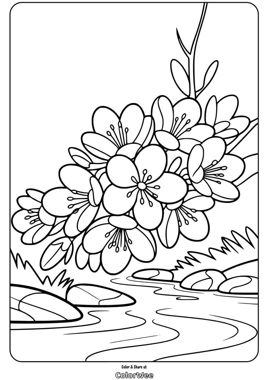 Spring Flowers Coloring Pages